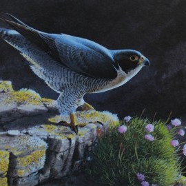 Terence Lambert - Wildlife Artist